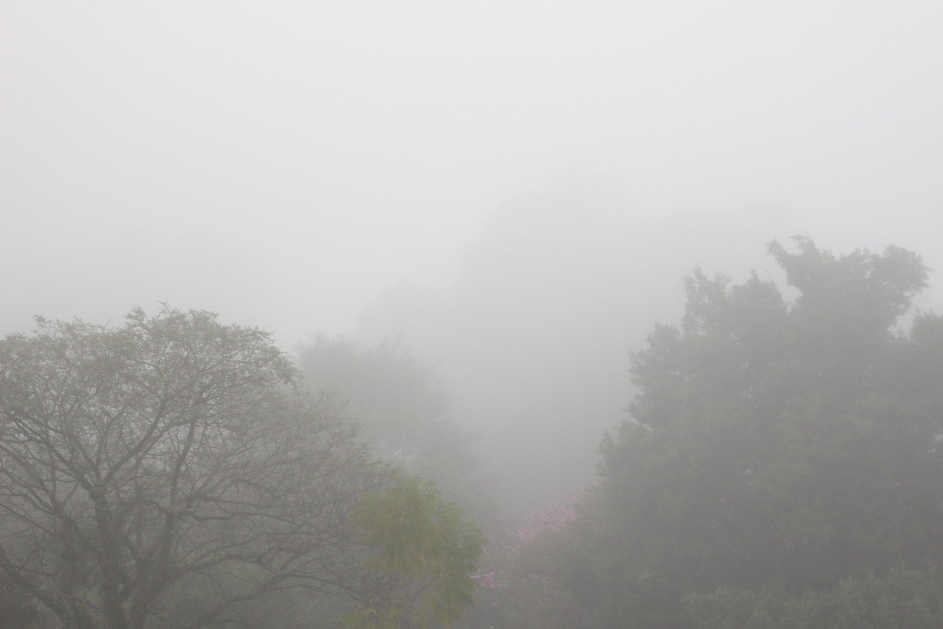 Nevoeiro intenso deve voltar a prejudicar visibilidade nos próximos ...