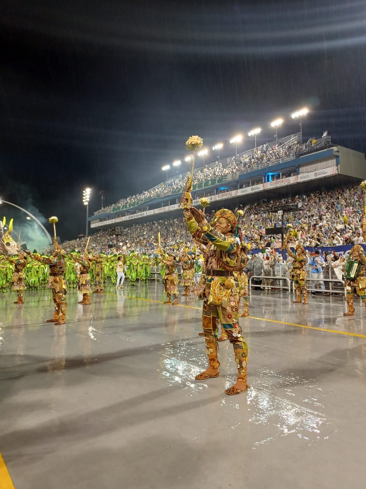 Carnaval 2023: veja trechos dos desfiles em São Paulo e no Rio de ...