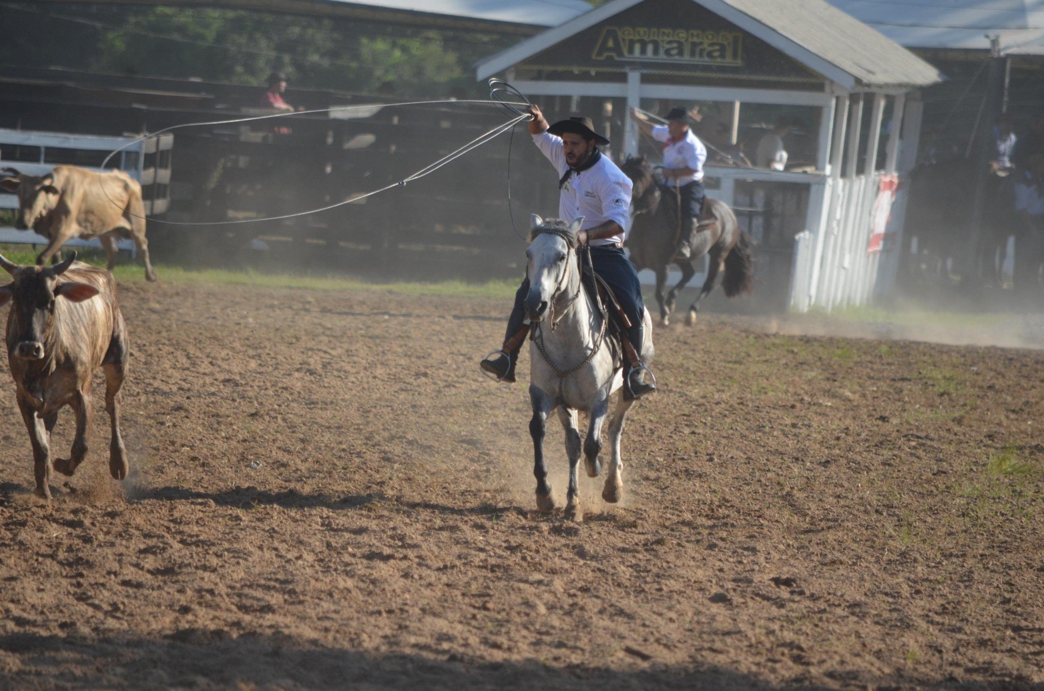 "É o maior rodeio da história de Gramado", diz patrão do CTG Manotaço ...