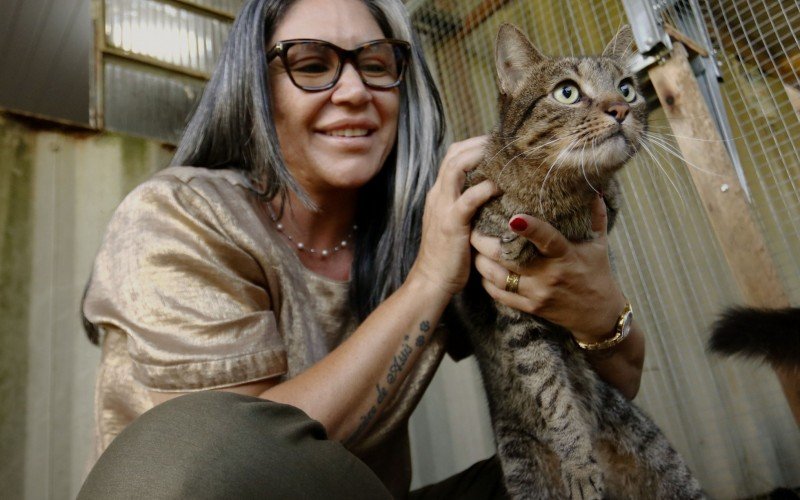 "Matavam para não ter que tratar um câncer no bichinho": Investigação ...