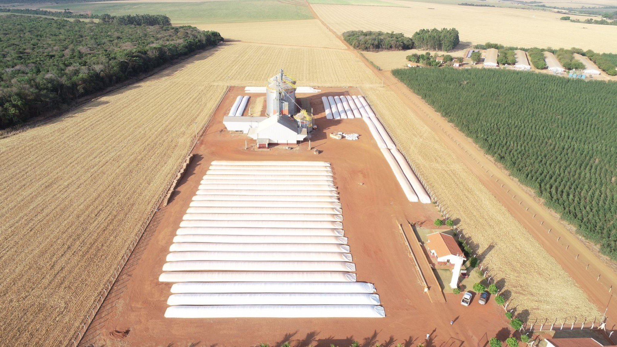 Silo-bolsa serve de alternativa para armazenamento de grãos em todo o ...