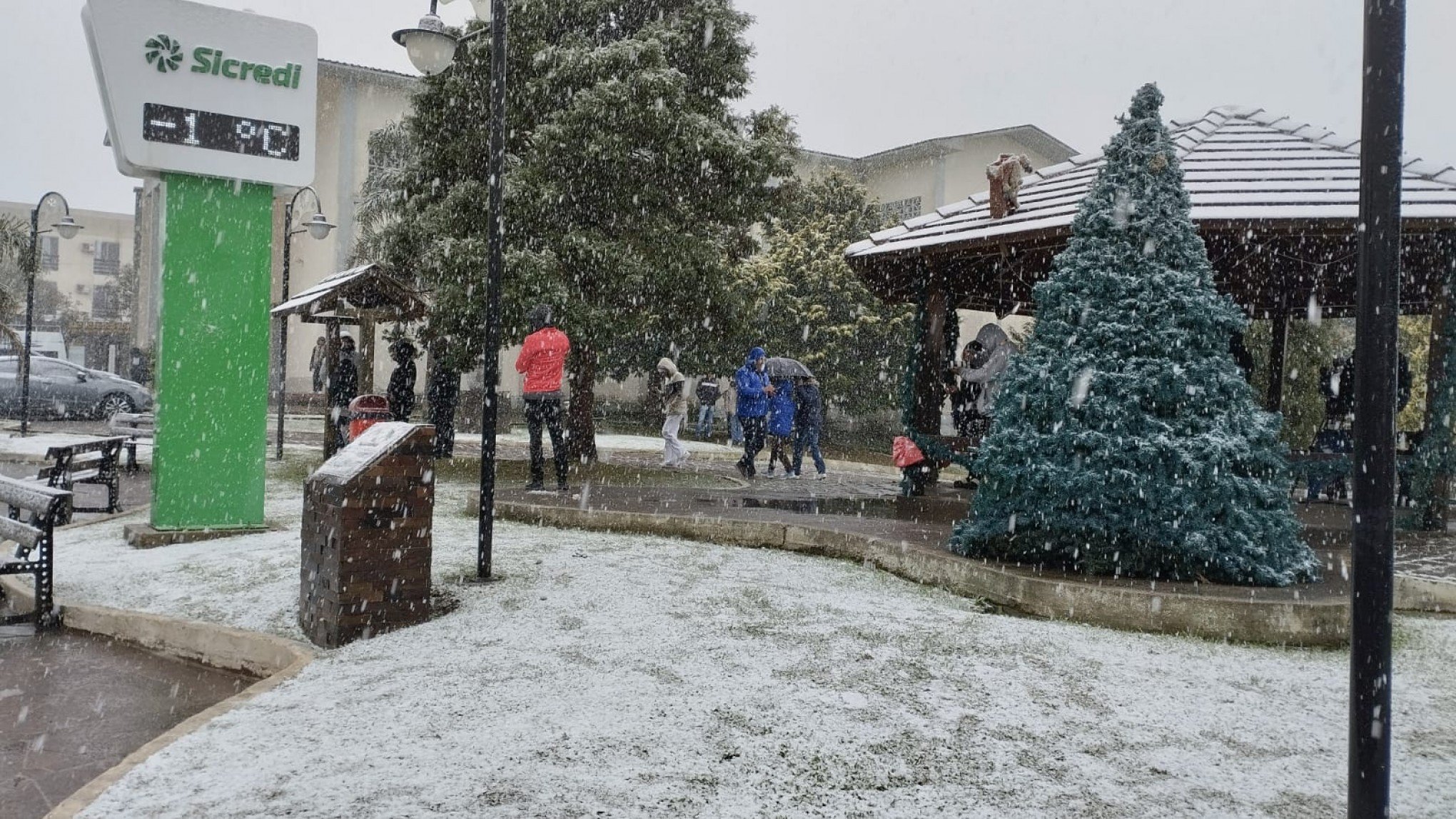NEVE: Fenômeno dura mais de 3 horas e flocos se acumulam em cidades do ...