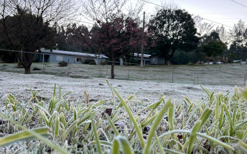 ONDA DE FRIO: Veja imagens da geada no interior do RS nesta quarta ...