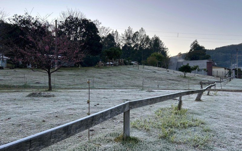ONDA DE FRIO: Veja imagens da geada no interior do RS nesta quarta ...
