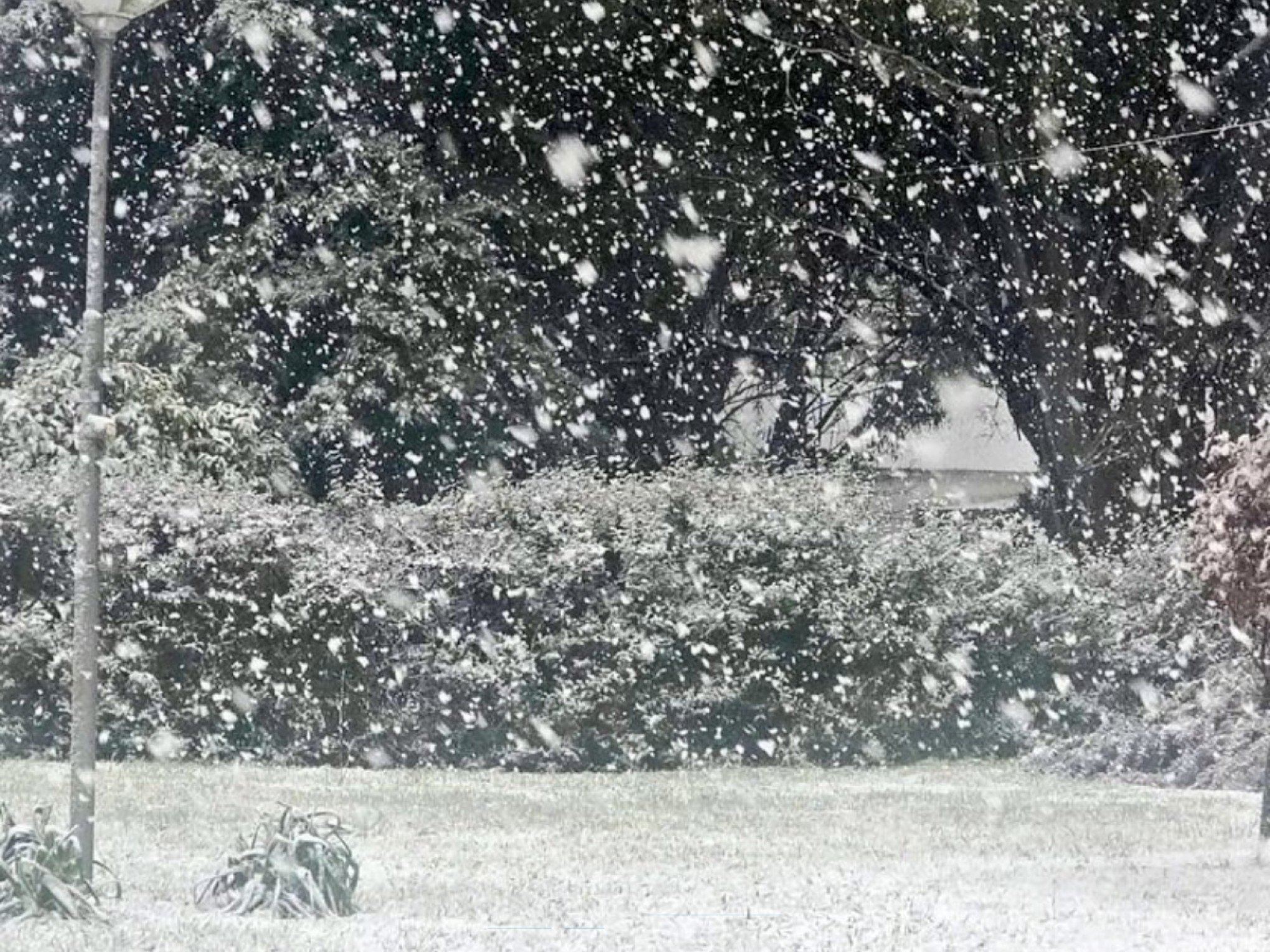 ONDA DE FRIO: Massa de ar polar que leva neve à Argentina chega ao RS ...