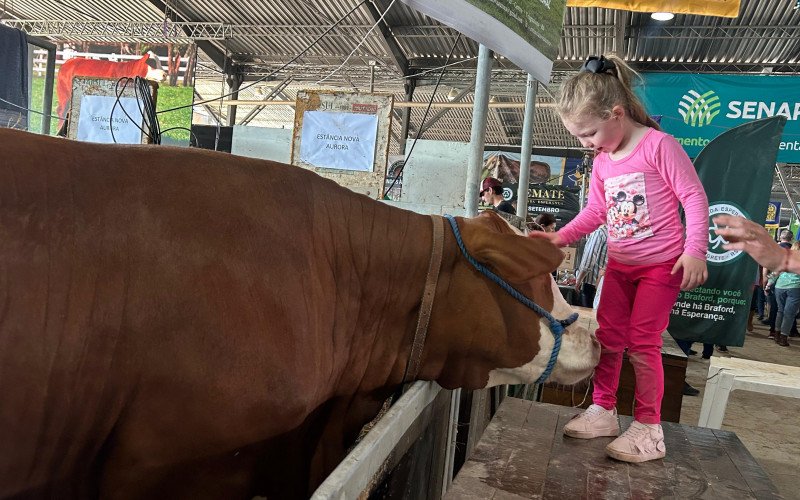 EXPOINTER: Confira fotos do primeiro dia do evento que movimenta Esteio ...