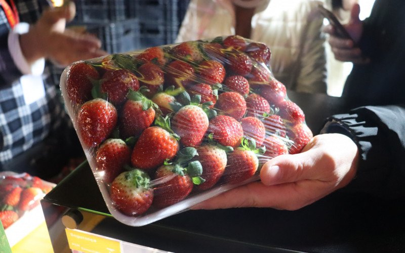 Morango do amor puxa vendas e atraí público para a Festa Nacional do ...
