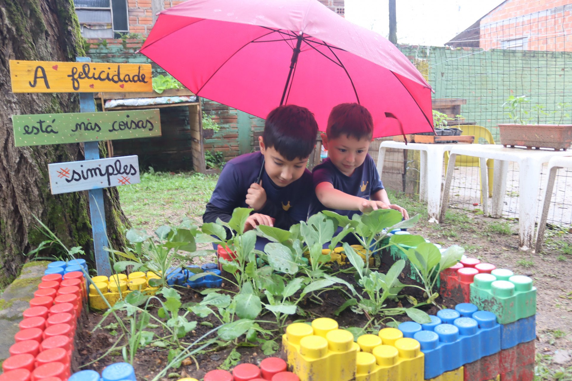 Escola de Campo Bom é a única gaúcha finalista em prêmio internacional | abc+