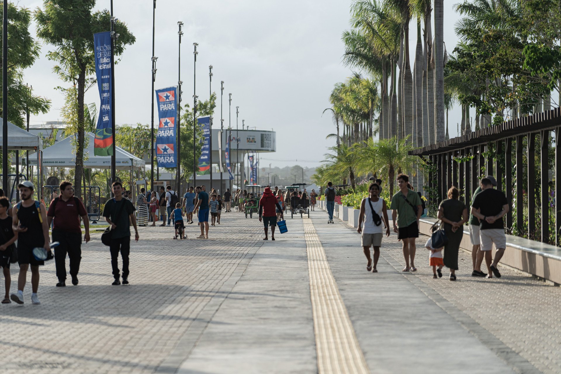 COP 30: O futuro do mundo estará em debate na Amazônia a partir de 10 de novembro | abc+