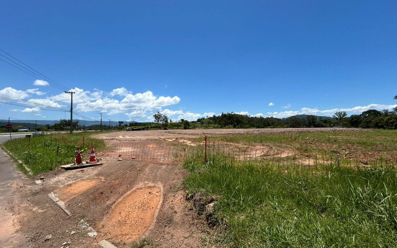 Havan de Taquara já recebe currículos antes mesmo da inauguração; veja ...