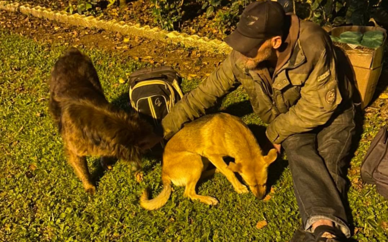 Lobisomem, cachorro que espera na praça onde dono foi assassinado, pode ...